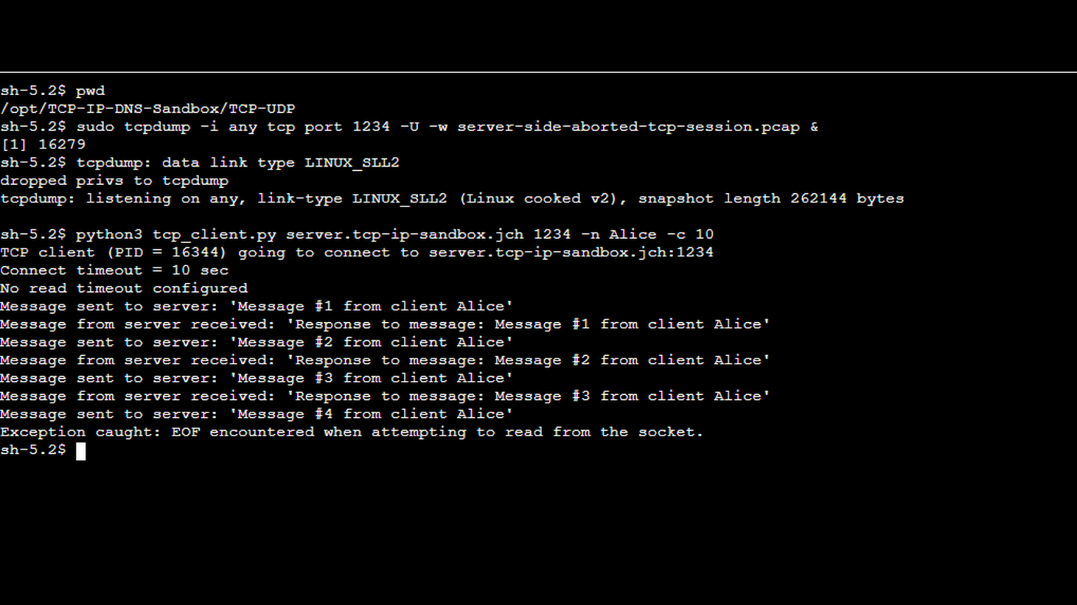 TCP Troubleshooting Deep Dive, Part 4: Connection Reset by Peer Error ...